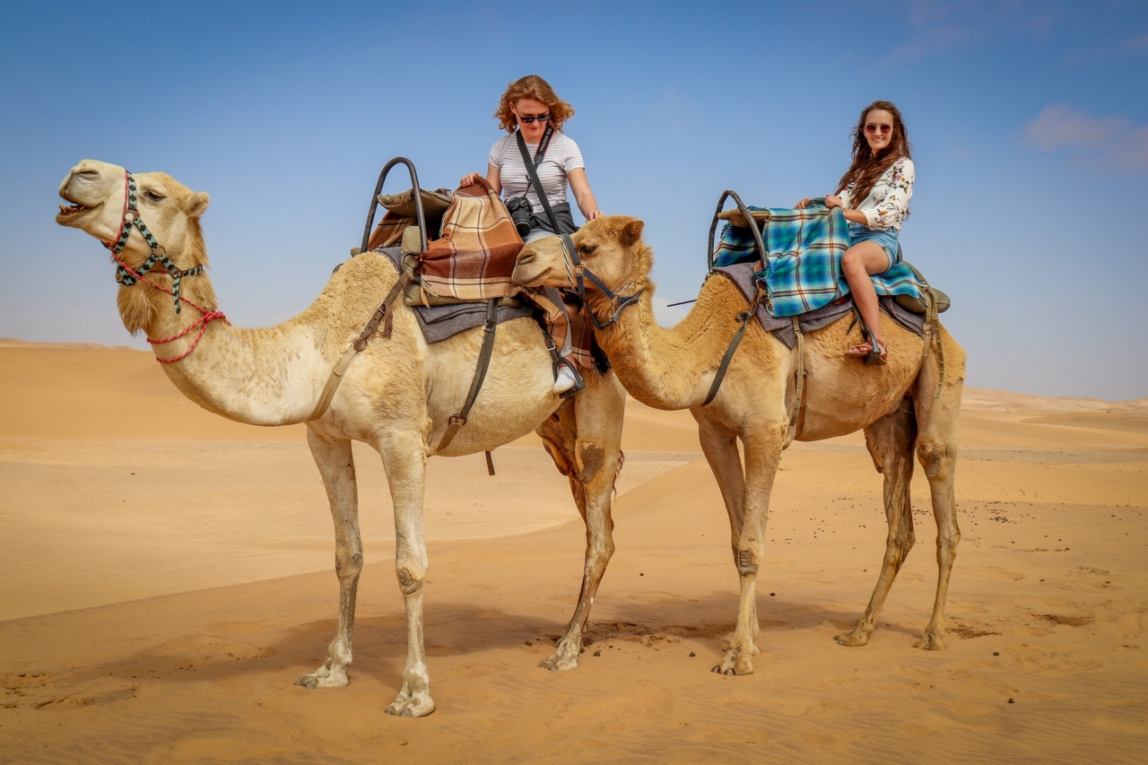 Camel Rides Swakopmund | Namibian Activities & Adventure