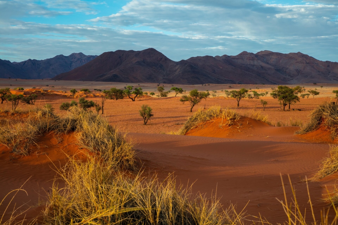 Namib-Naukluft National Park | National Parks In Namibia