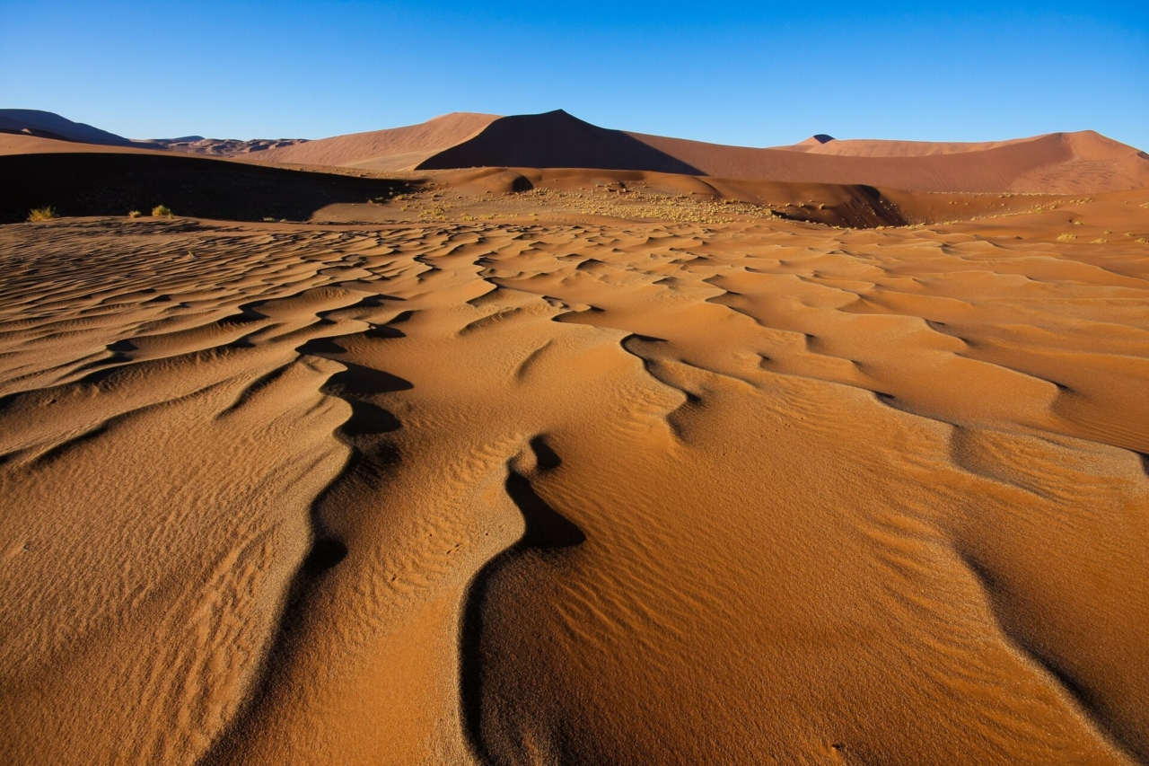 Namib-Naukluft National Park | National Parks In Namibia