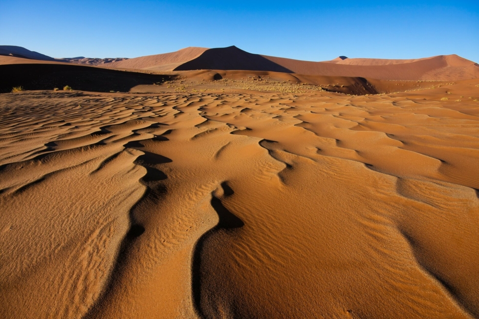 Namib-Naukluft National Park | National Parks In Namibia
