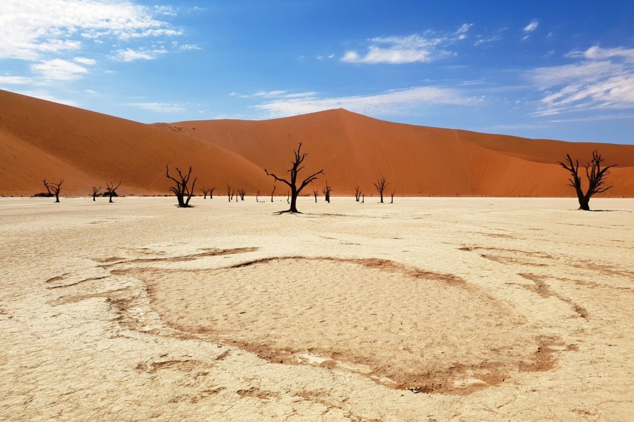 Deadvlei | Places To See | Attractions In Namibia