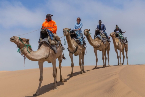 Desert Explorers | Activities & Things To Do In Namibia