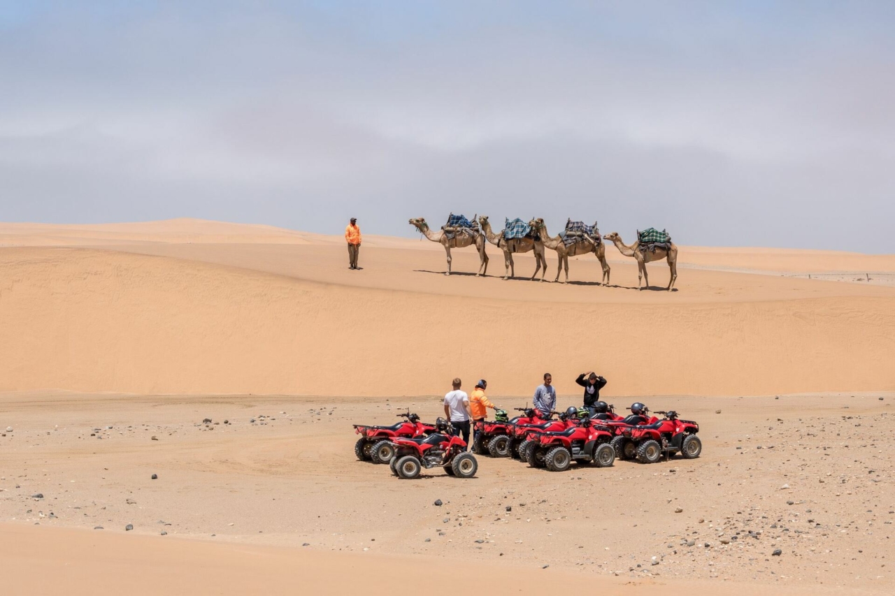 Desert Explorers | Activities & Things To Do In Namibia