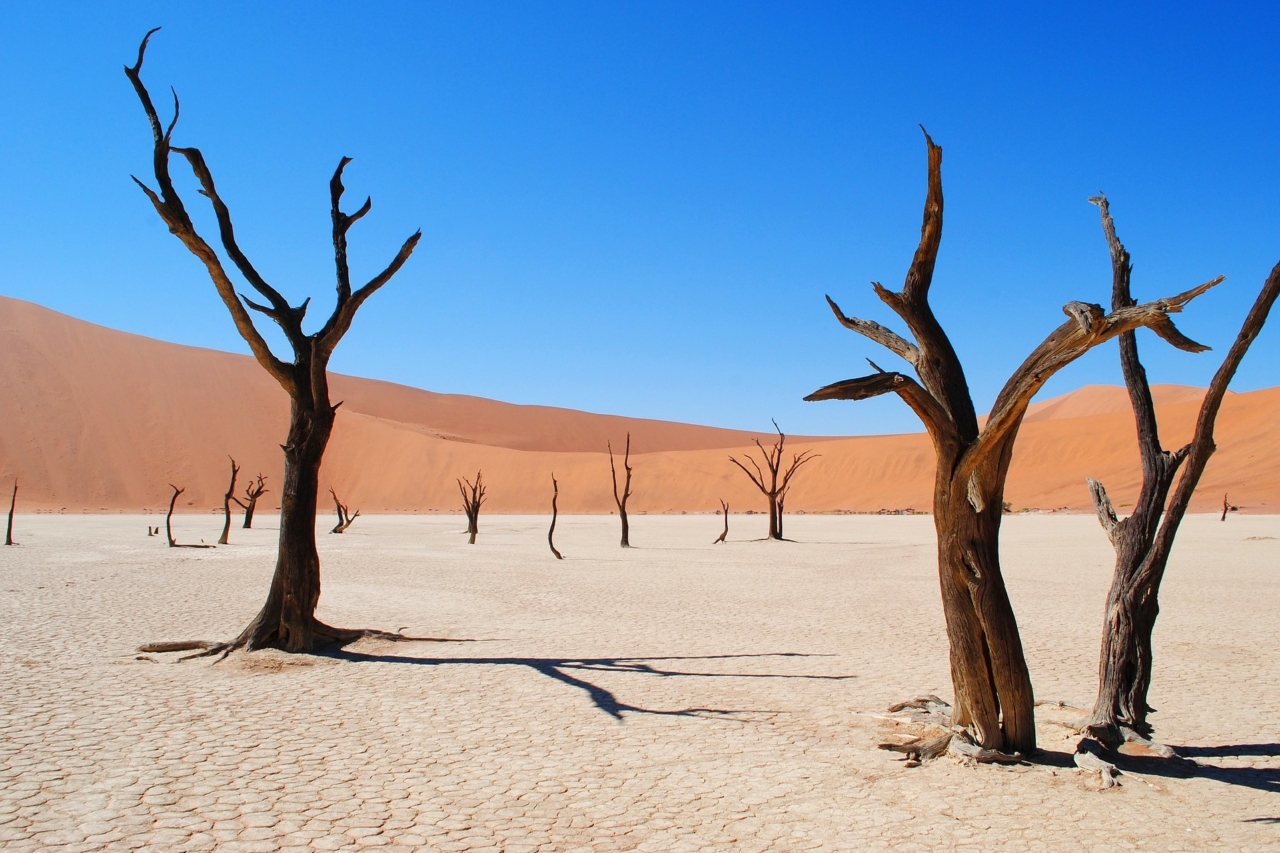 Namib Desert | Places To See | Attractions In Namibia